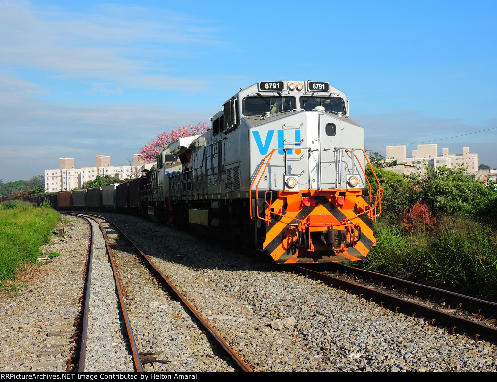 VLI 8791